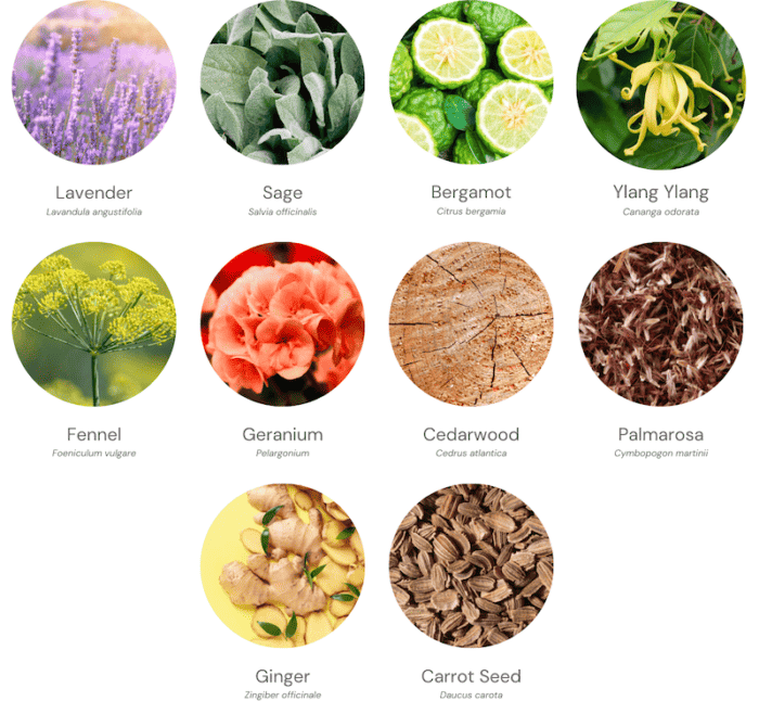 Lady Kay Oil - Grassroots Essentials