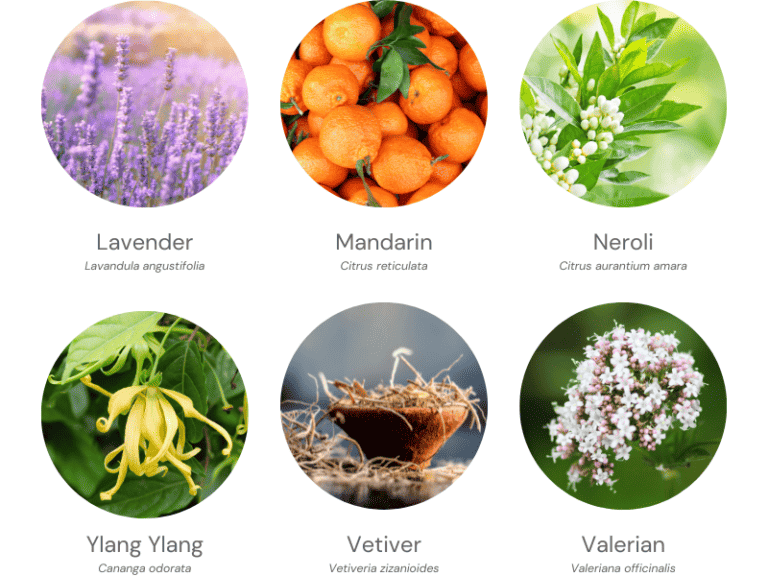 Serenity Oil - Grassroots Essentials