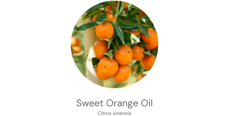 Organic Sweet Orange Oil - Grassroots Essentials